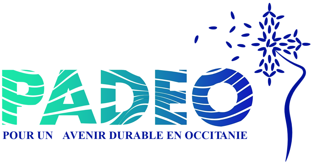 L'équipe - LE FORUM PADEO